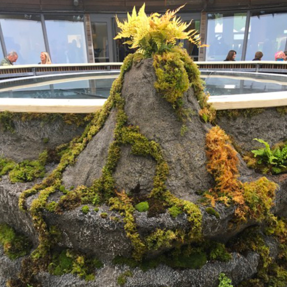 Eden Project - Exhibition + Event Design | LoveBite